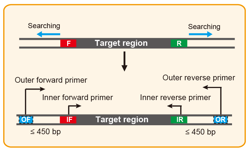 GitHub - zhangpenglab/UPrimer: UPrimer is a program to automatically ...