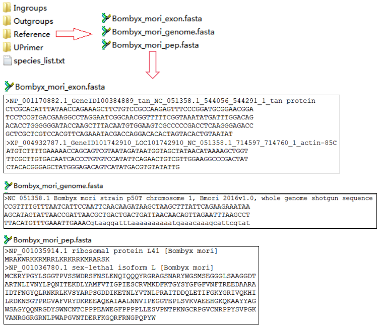 GitHub - zhangpenglab/UPrimer: UPrimer is a program to automatically ...