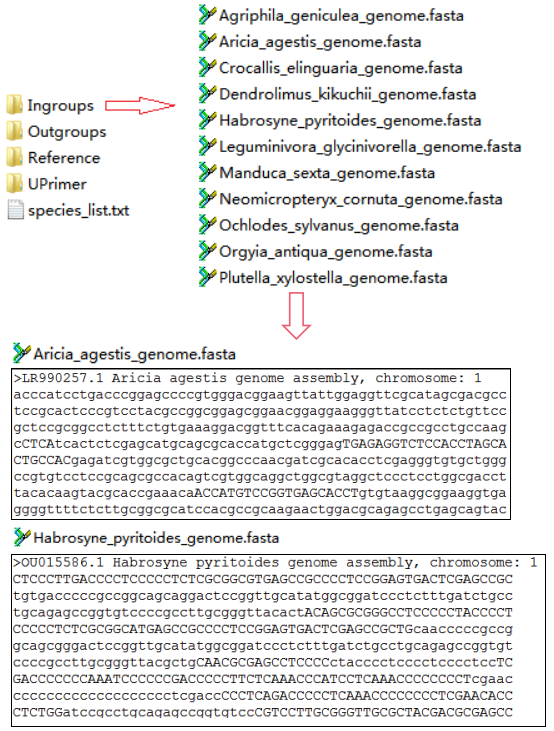 GitHub - zhangpenglab/UPrimer: UPrimer is a program to automatically ...