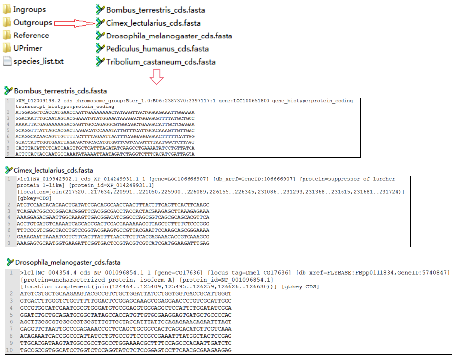 GitHub - zhangpenglab/UPrimer: UPrimer is a program to automatically ...
