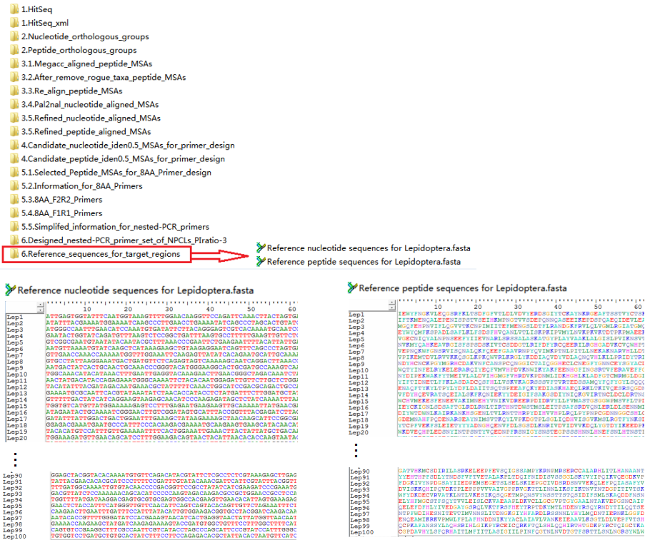 GitHub - zhangpenglab/UPrimer: UPrimer is a program to automatically develop nuclear protein ...