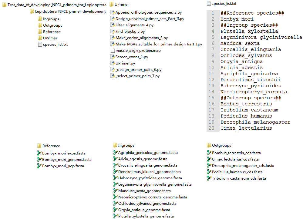 GitHub - zhangpenglab/UPrimer: UPrimer is a program to automatically develop nuclear protein ...