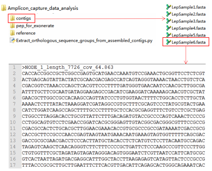 GitHub - zhangpenglab/UPrimer: UPrimer is a program to automatically ...