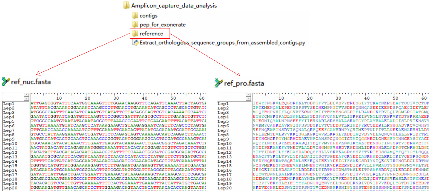 GitHub - zhangpenglab/UPrimer: UPrimer is a program to automatically develop nuclear protein ...