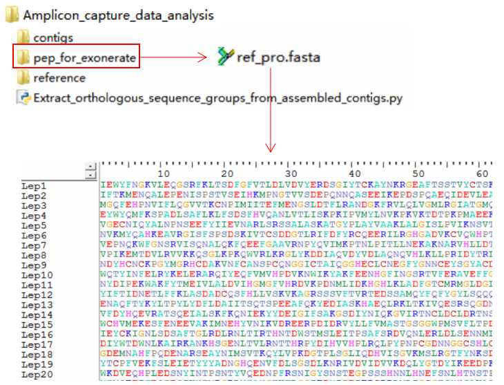 GitHub - zhangpenglab/UPrimer: UPrimer is a program to automatically ...