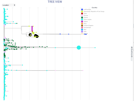 Tree metadata is cut off · Issue #10 · twlab/virusbrowser · GitHub