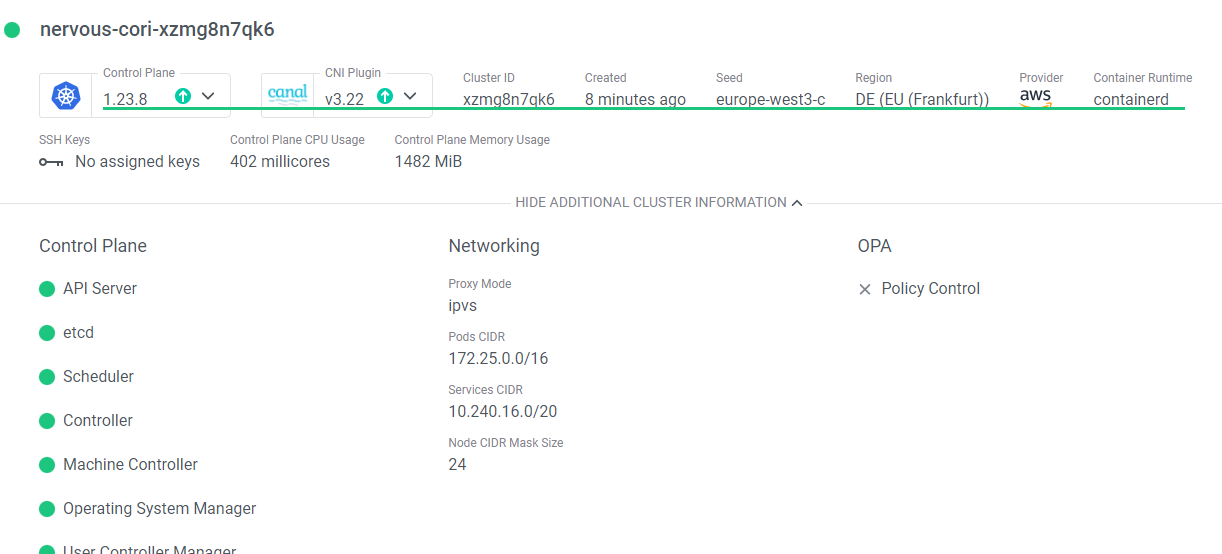 Vertical space between label and value should be same for all properties of cluster details ...