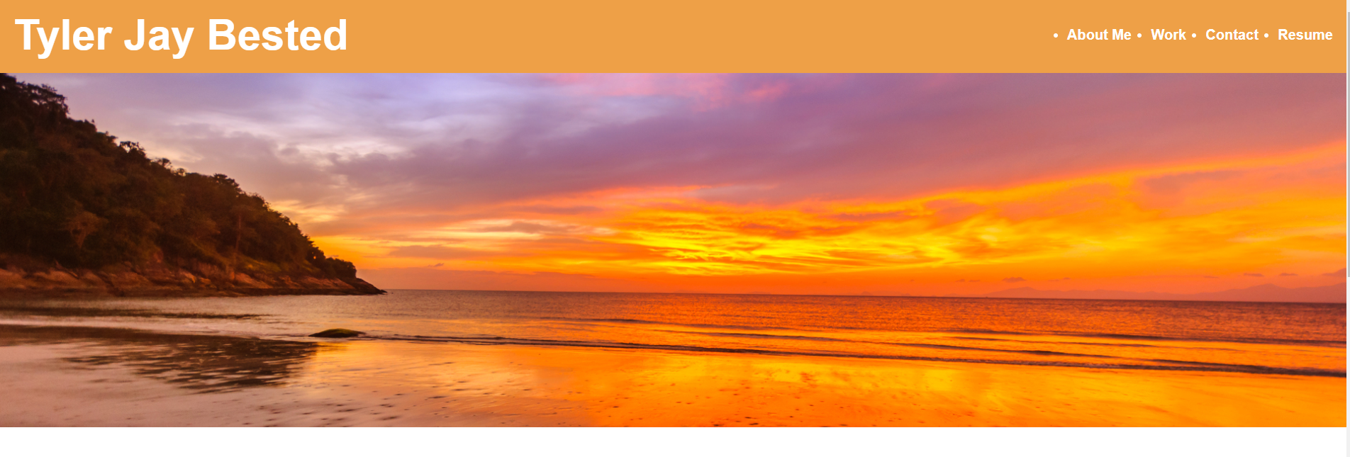 GitHub - bestedt/module2-portfolio: Repository for Module 2 assignment: Professional Portfolio