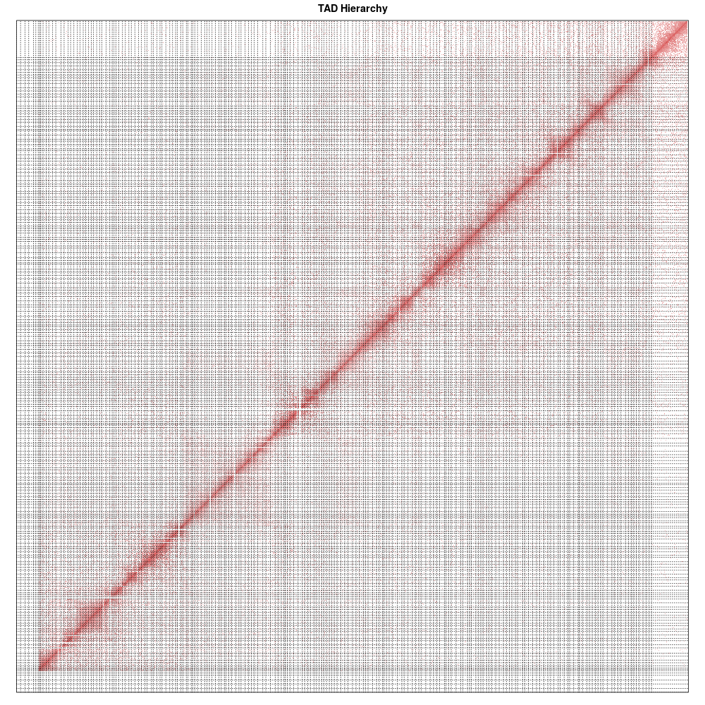 TADpole issues · Issue #1 · 3DGenomes/TADpole · GitHub