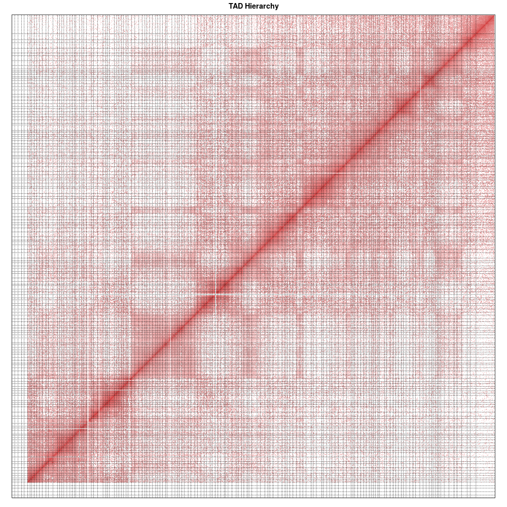 TADpole issues · Issue #1 · 3DGenomes/TADpole · GitHub