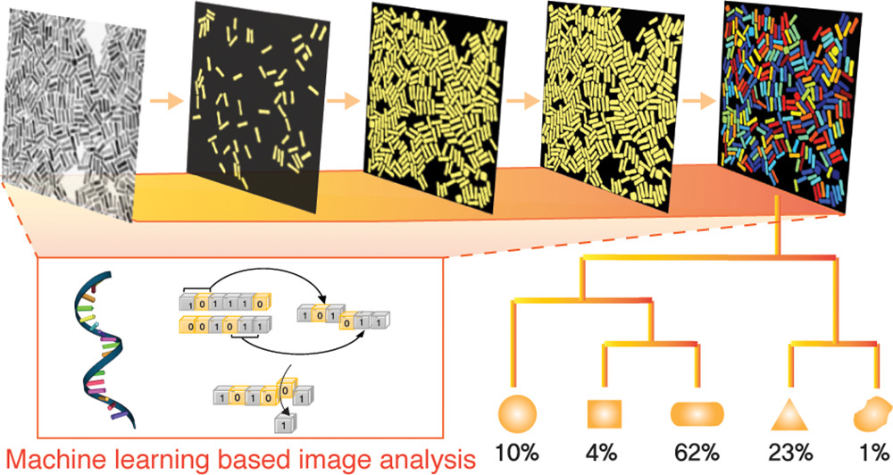 GitHub - juhelee7/Statistical_Characterization_of_Nanoparticles_through_ML_Based_EM_Image_Analysis