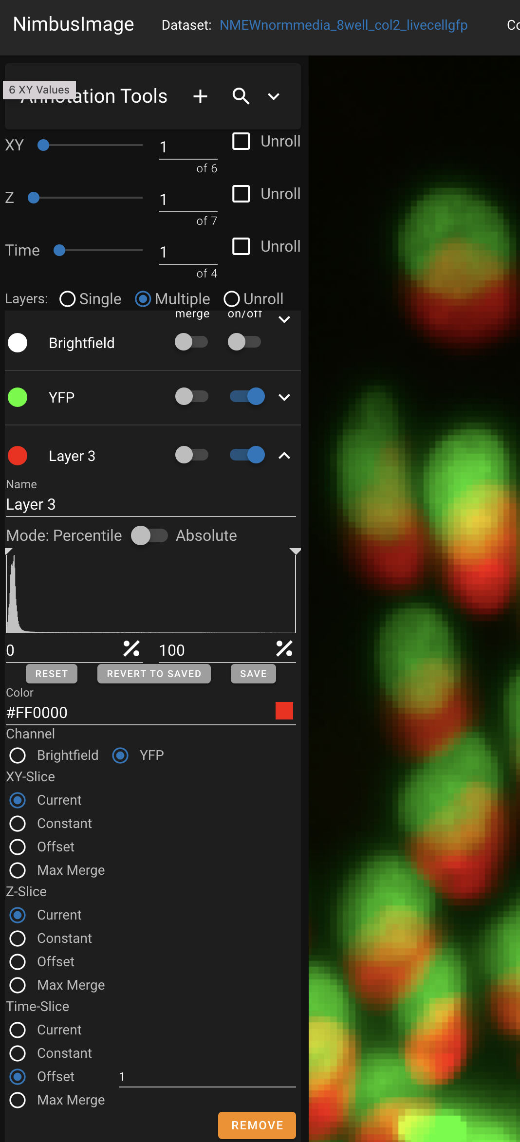 Annotations not showing with time offset · Issue #310 · arjunrajlaboratory/NimbusImage · GitHub