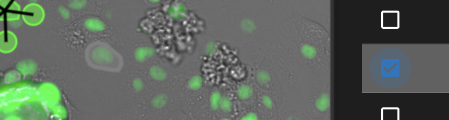 Hover annotation highlighting no longer working · Issue #321 · arjunrajlaboratory/NimbusImage ...