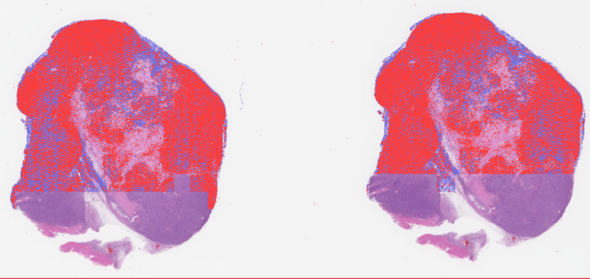Positive Cell Detection misses sections · Issue #828 · qupath/qupath · GitHub