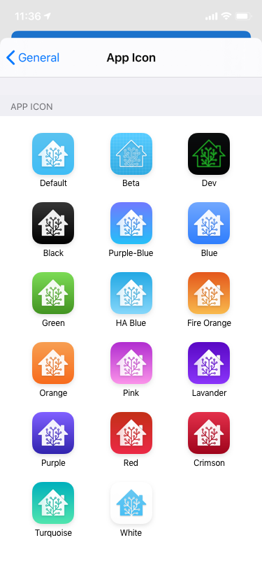 Custom Icons · Issue #183 · home-assistant/iOS · GitHub