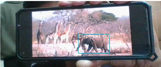 GitHub - NitinSingh99/Elephant-Eye