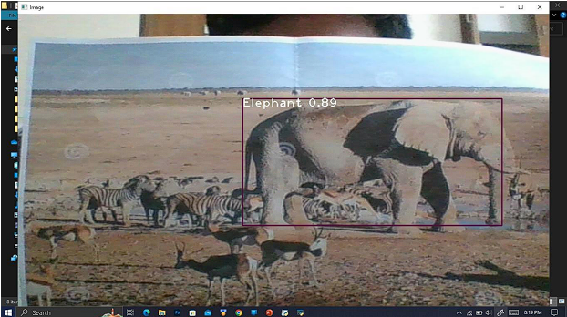 GitHub - NitinSingh99/Elephant-Eye