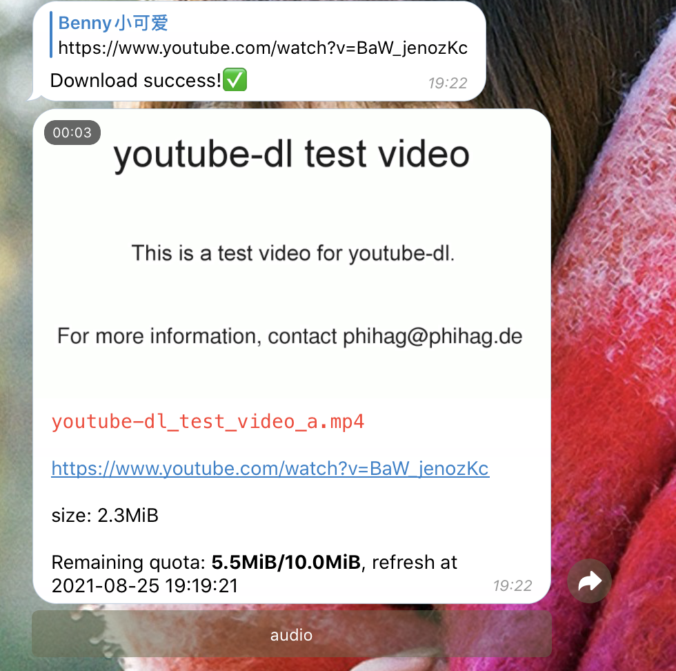 Video title · Issue #12 · tgbot-collection/ytdlbot · GitHub