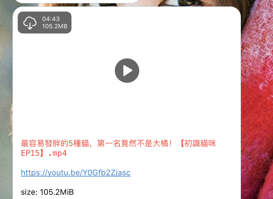 Add permanent thumbnail · Issue #17 · tgbot-collection/ytdlbot · GitHub