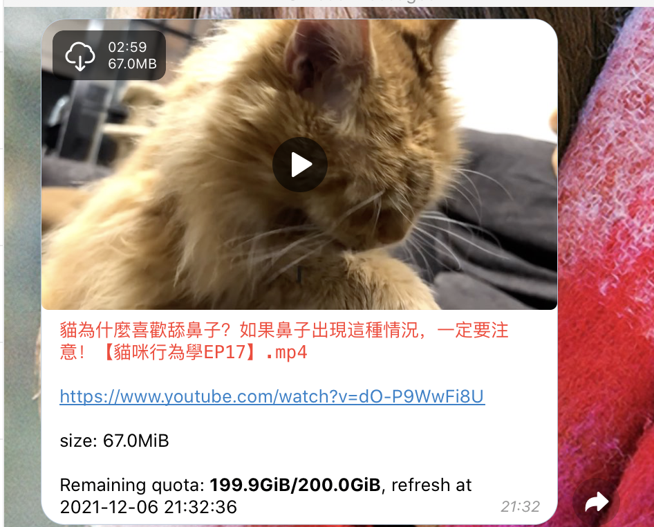 Add permanent thumbnail · Issue #17 · tgbot-collection/ytdlbot · GitHub