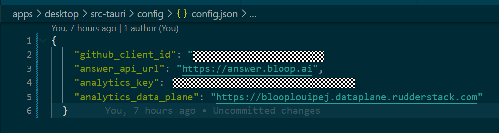 The app built from source cannot use · Issue #894 · BloopAI/bloop · GitHub