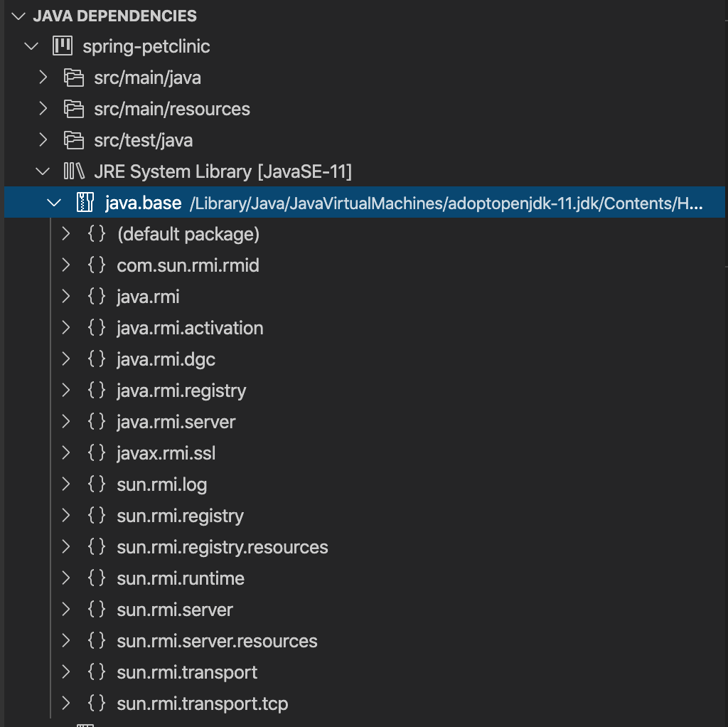 Cannot list JDK 11 classes correctly in the Java Projects view · Issue #275 · microsoft/vscode ...