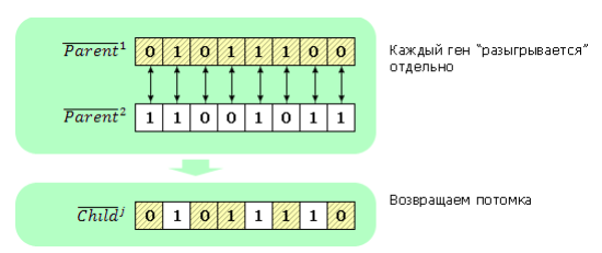 GitHub - miniGadza/Standart_Genetic_Algorithm GitHub - miniGadza/Standart_Genetic_Algorithm