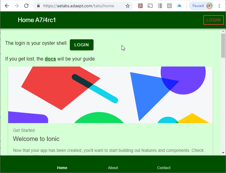 [4.0.0-rc.2] Ionicons do not show on a physical device · Issue #17124 · ionic-team/ionic ...