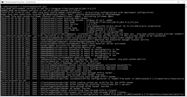 CarbonServerManager Shutdown hook triggered, unable to initialize application registry · Issue ...