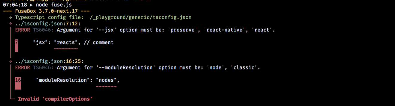 Discussion: FuseBox TypeScript type-checking · Issue #1480 · fuse-box/fuse-box · GitHub