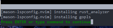 "[mason-lspconfig.nvim] installing rust_analyzer" on every startup ...