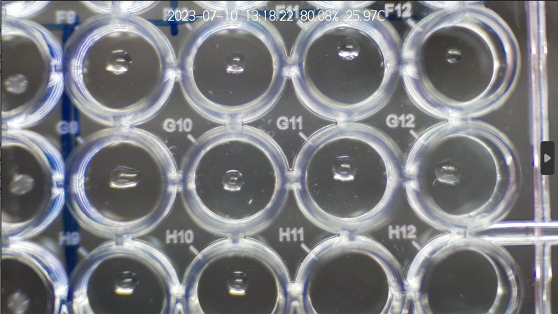 Model trained in the GUI but run in the command window produces vastly different, poor results ...