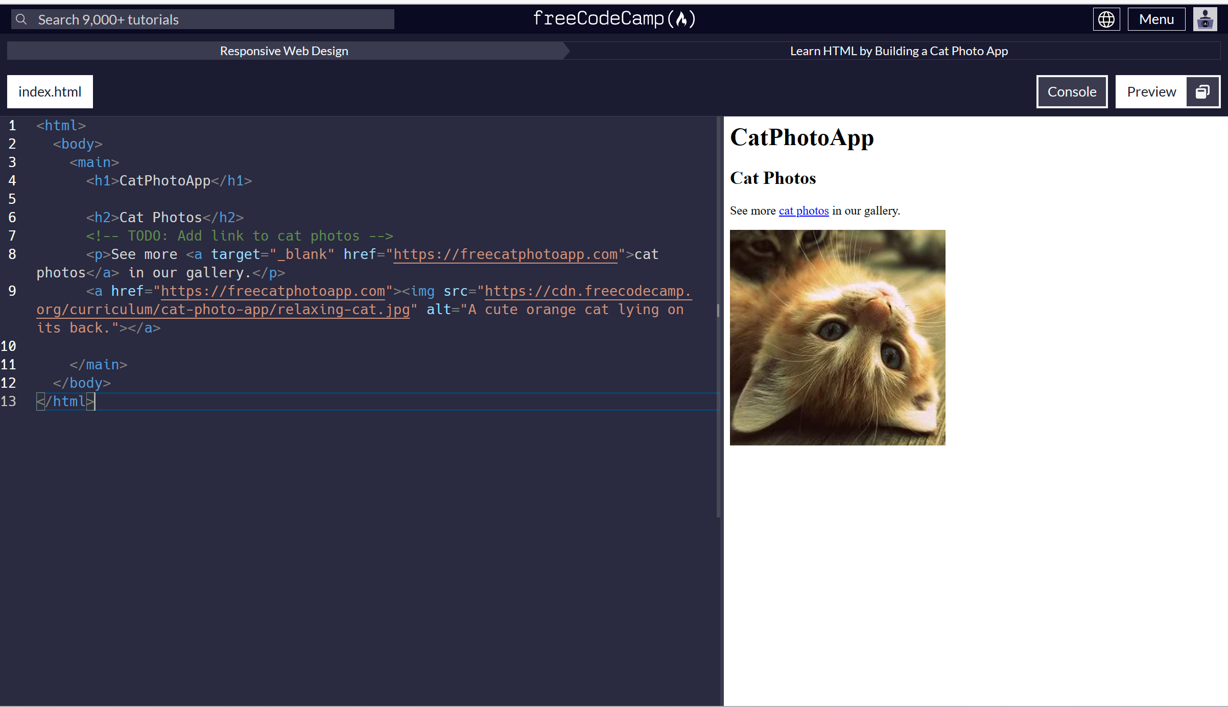 Instructions not showing up in the editor panel · Issue #51183 ...