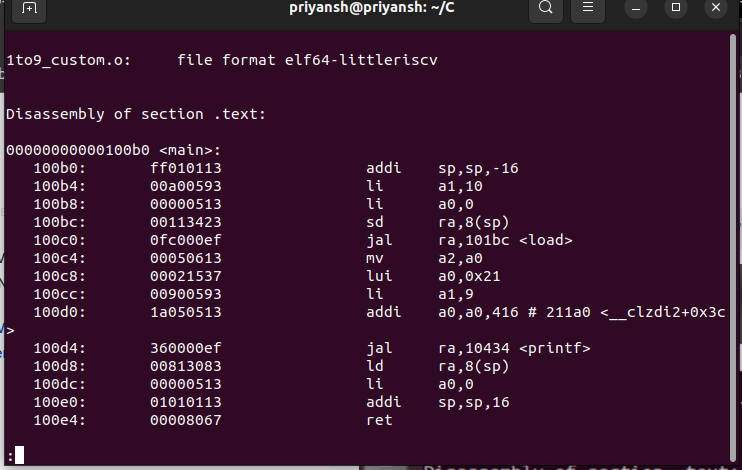 GitHub - Priyanshiiitb/RISCV