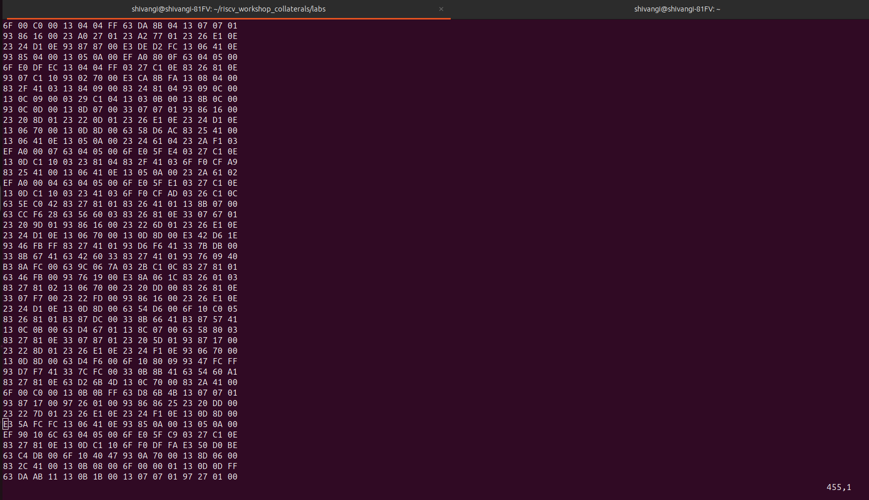 GitHub - Shivangi2207/RISC-V