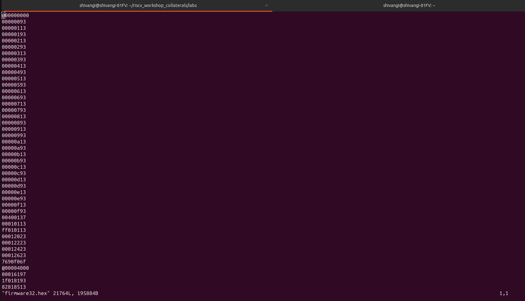 GitHub - Shivangi2207/RISC-V