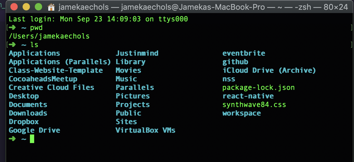 Enable Custom CSS and JS not working · Issue #107 · robb0wen/synthwave-vscode · GitHub