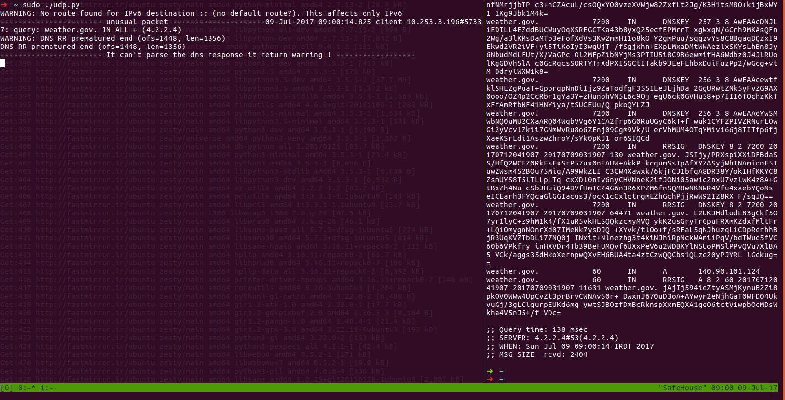 Problem With Packet Size More Than 1500 Bytes · Issue 709 · Secdev