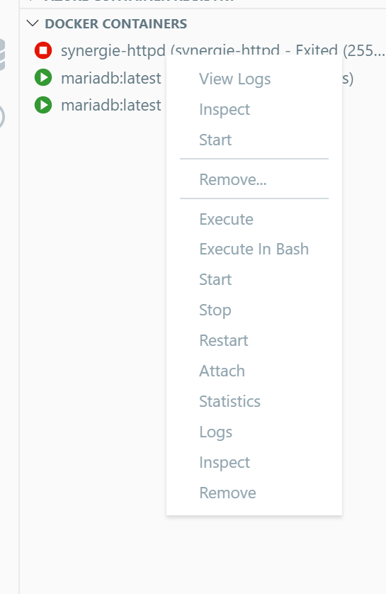Execute In Bash Error Name Of Container Undefined · Issue 1190 · Microsoftvscode Docker · Github