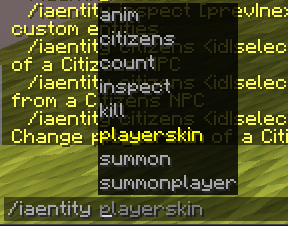 Itemsadder API problem. · Issue #2932 · PluginBugs/Issues-ItemsAdder · GitHub