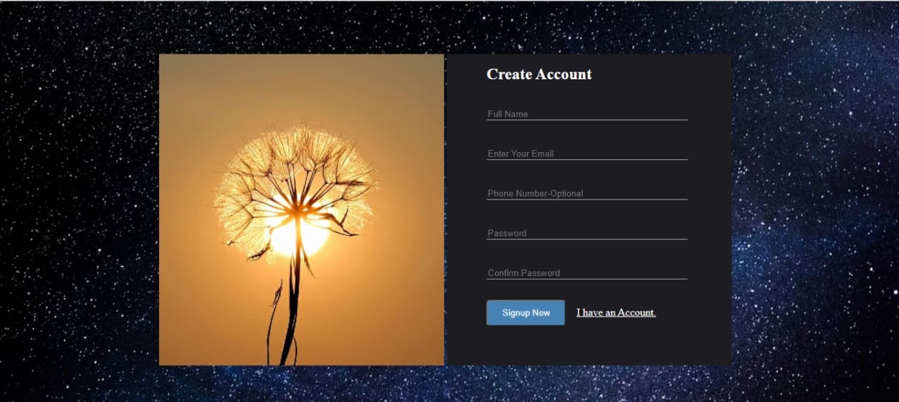 static - Codesandbox
