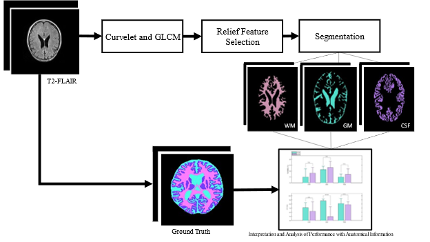 GitHub - FafaDavar/BrainTissueSegmentation