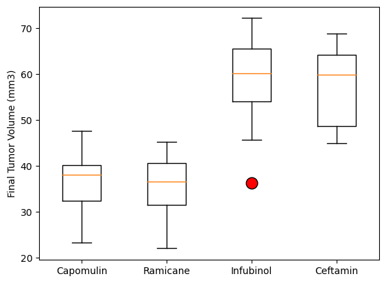 GitHub - xoffvsg/matplotlib_challenge: Module 5 Challenge