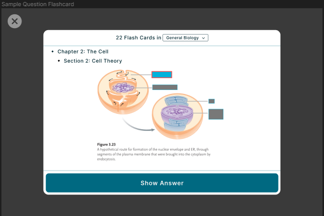 GitHub - Fahad-Iqbal/Flashnote-Fullstack-Project: A note taking app with the ability to generate ...