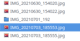 After selecting few files, create a new folder and move the selected files into it · Issue #1279 ...