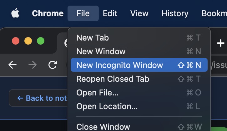 页面池的疑问 · Issue #791 · go-rod/rod · GitHub