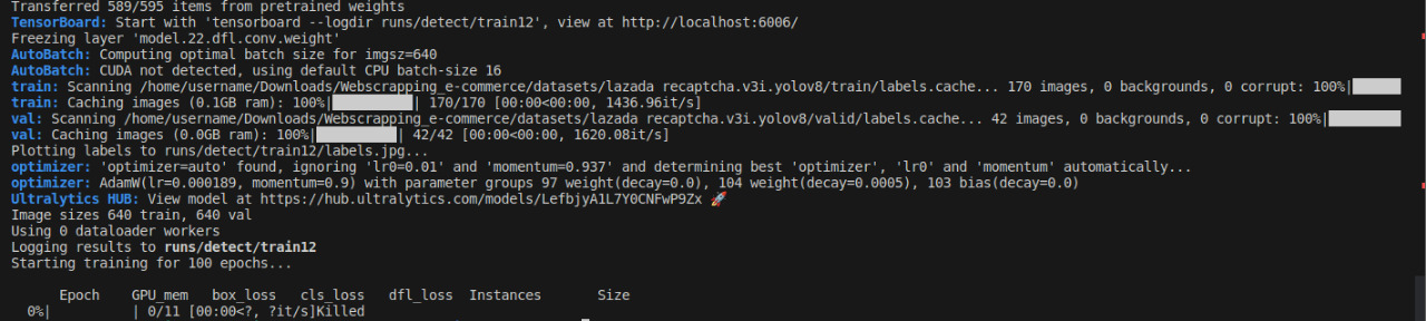 Training process killed · Issue #417 · ultralytics/hub · GitHub