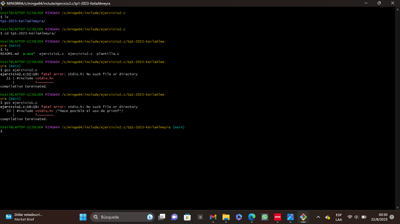 Fatal error · INGCOM-UNRN-P1 cursada-2023 · Discussion #57 · GitHub