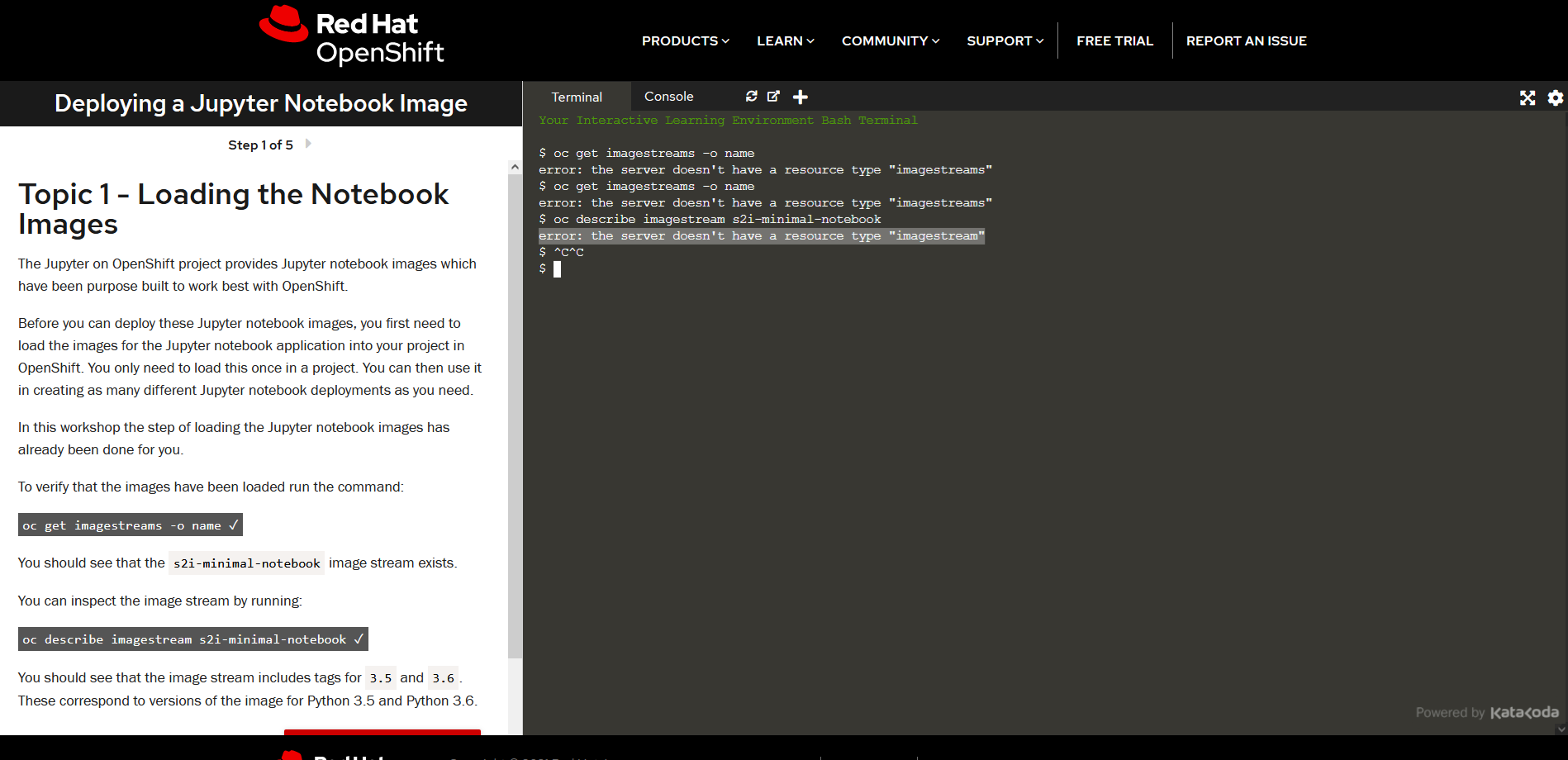Deploying A Jupyter Notebook Image Not Working Issue 1325 