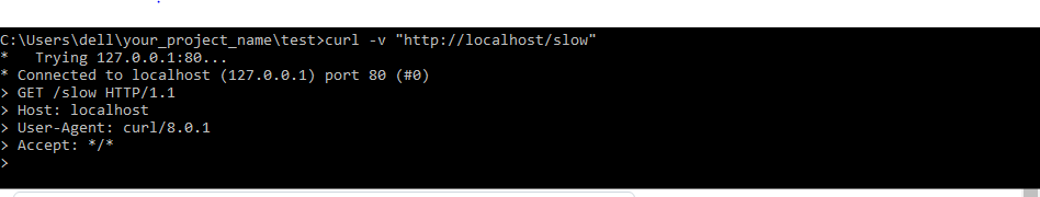 Unable to run example from Wiki. · Issue #1766 · drogonframework/drogon · GitHub